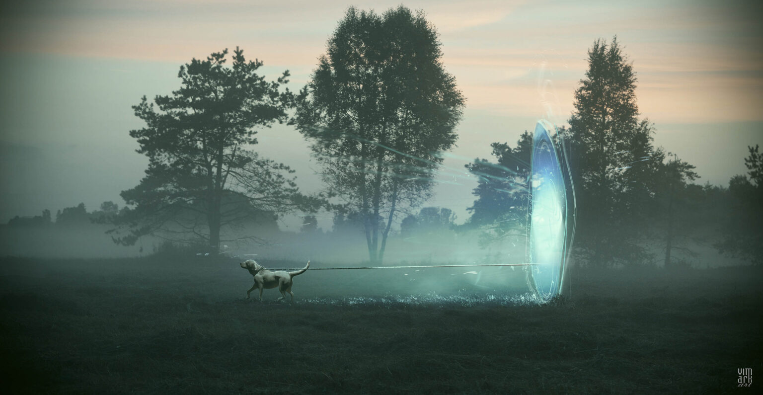 fog walk – OFUTURE zone